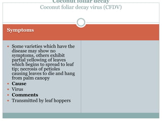 Coconut diseases Lecture By Allah Dad Khan Provincial Coordinator IPM ...