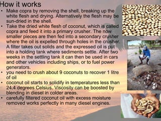 Coconut Oil Biodiesel | PPT