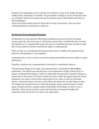 Coconut plantation land diversification | DOCX