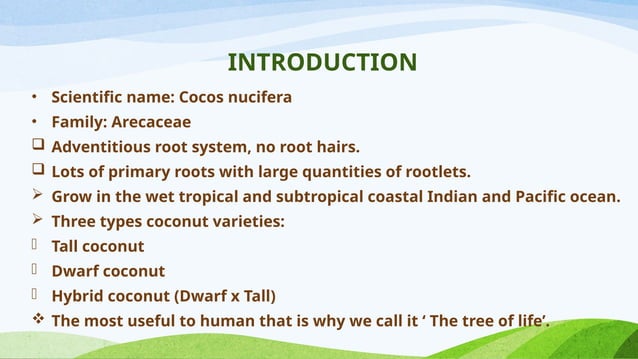 COCONUT PRESENTATION FOR PLANTING AND INFORMATION.pptx