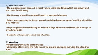 COCONUT PRESENTATION FOR PLANTING AND INFORMATION.pptx