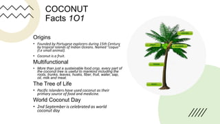 Coconut soft skills.ppt