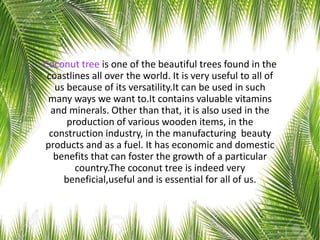Coconut tree wps office | PPTX