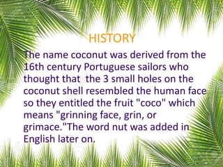 Coconut tree wps office | PPTX