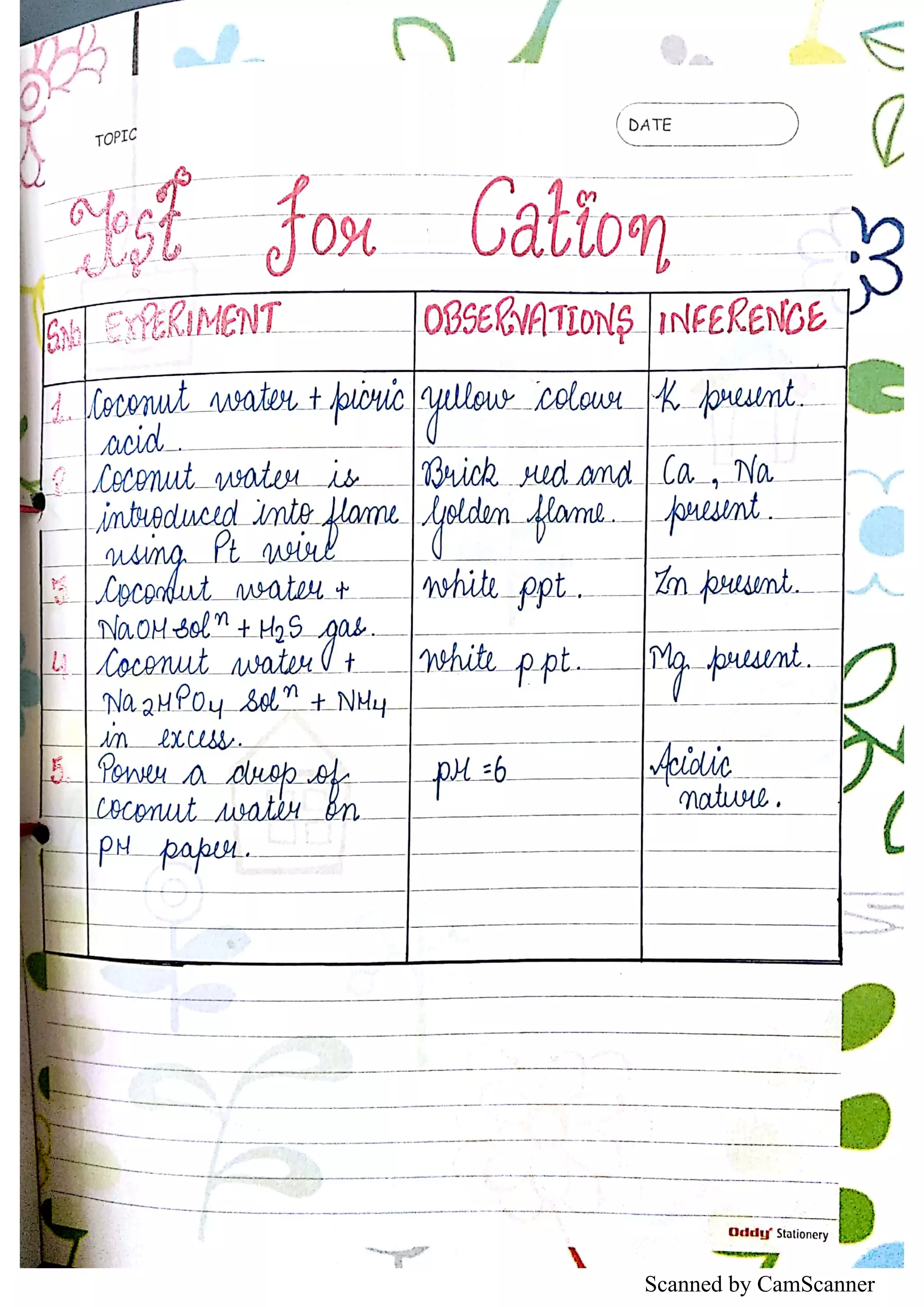 Qualitative Analysis of Coconut Water - Chemistry Investigatory Project Class 12 CBSE | PDF