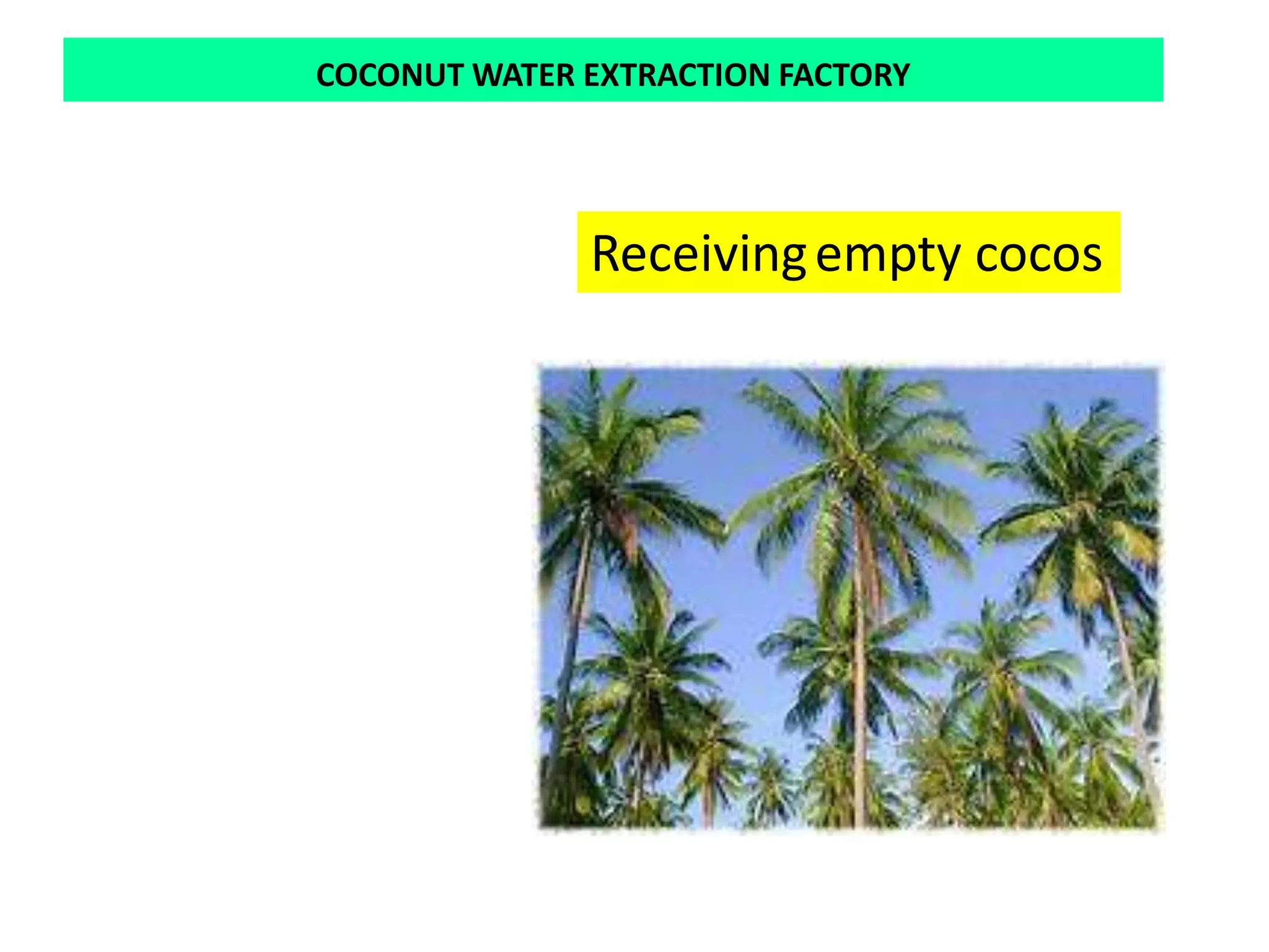 Coconut water extraction factory | PPTX