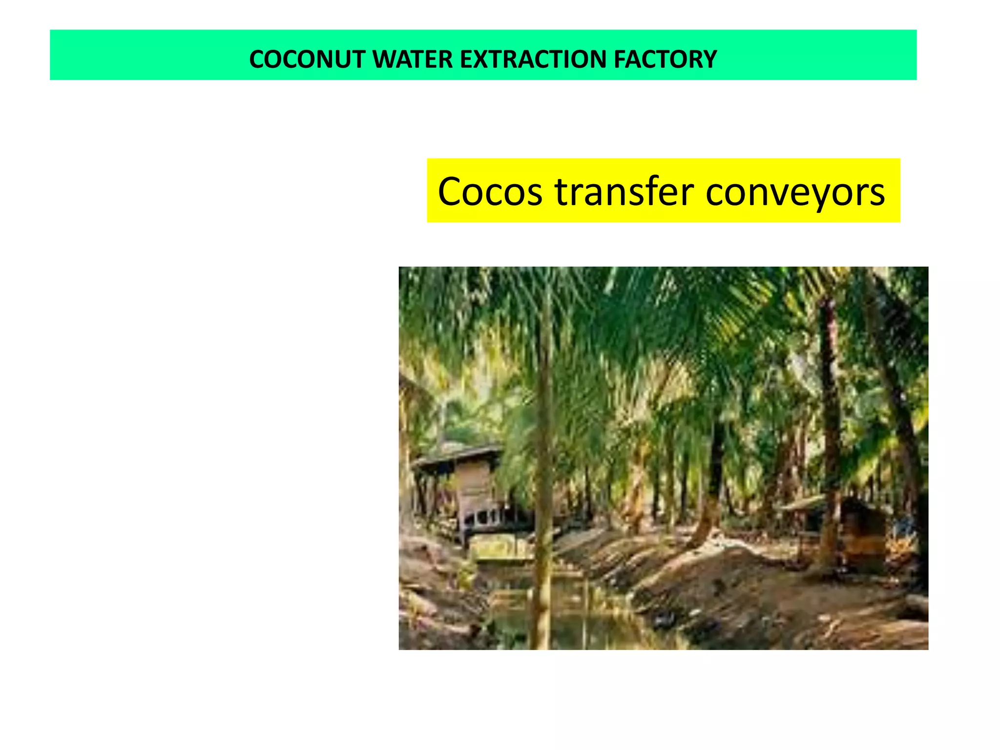 Coconut water extraction factory | PPTX
