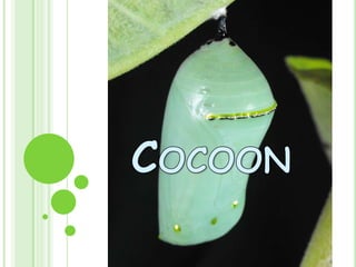 Cocoon | PPTX