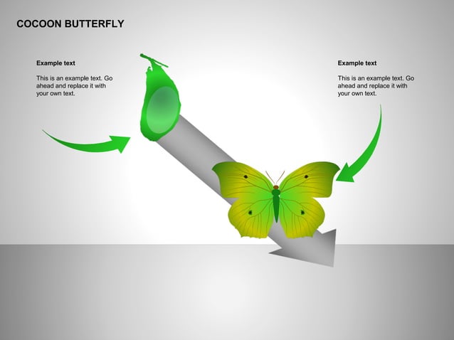 Cocoon Butterfly Diagram for PowerPoint | PPT