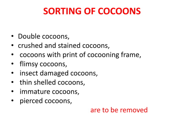 Cocoon harvesting and processing | PPTX | Needlework | Arts and Crafts