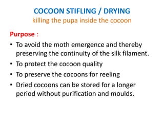 Cocoon harvesting and processing | PPTX