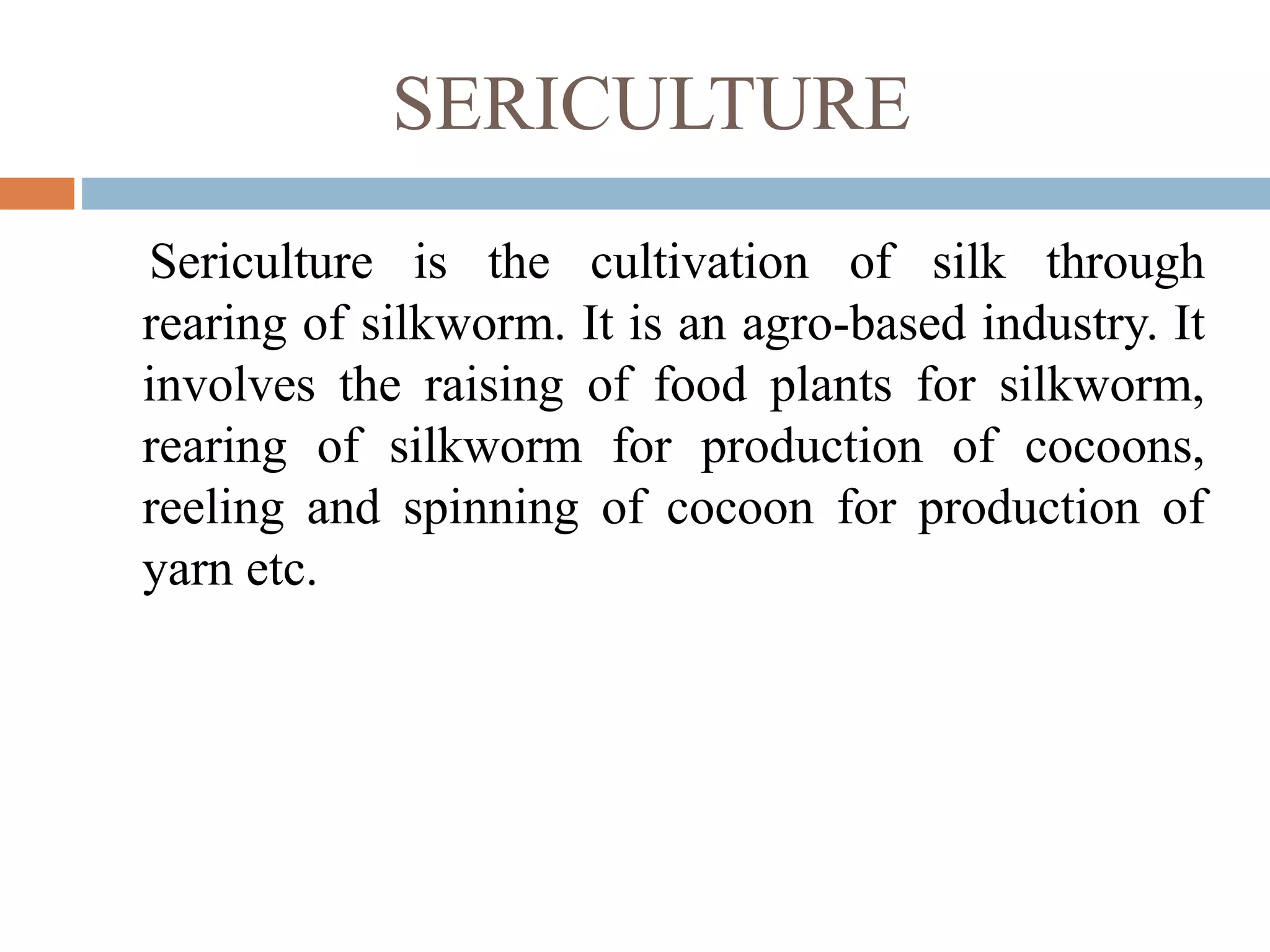 Cocoon marketing | PPTX