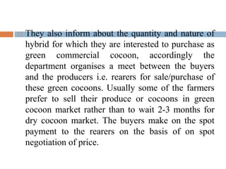 Cocoon marketing | PPTX