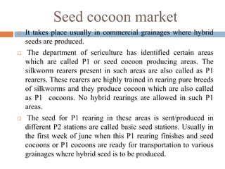 Marketing Of Cocoons