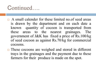 Marketing Of Cocoons