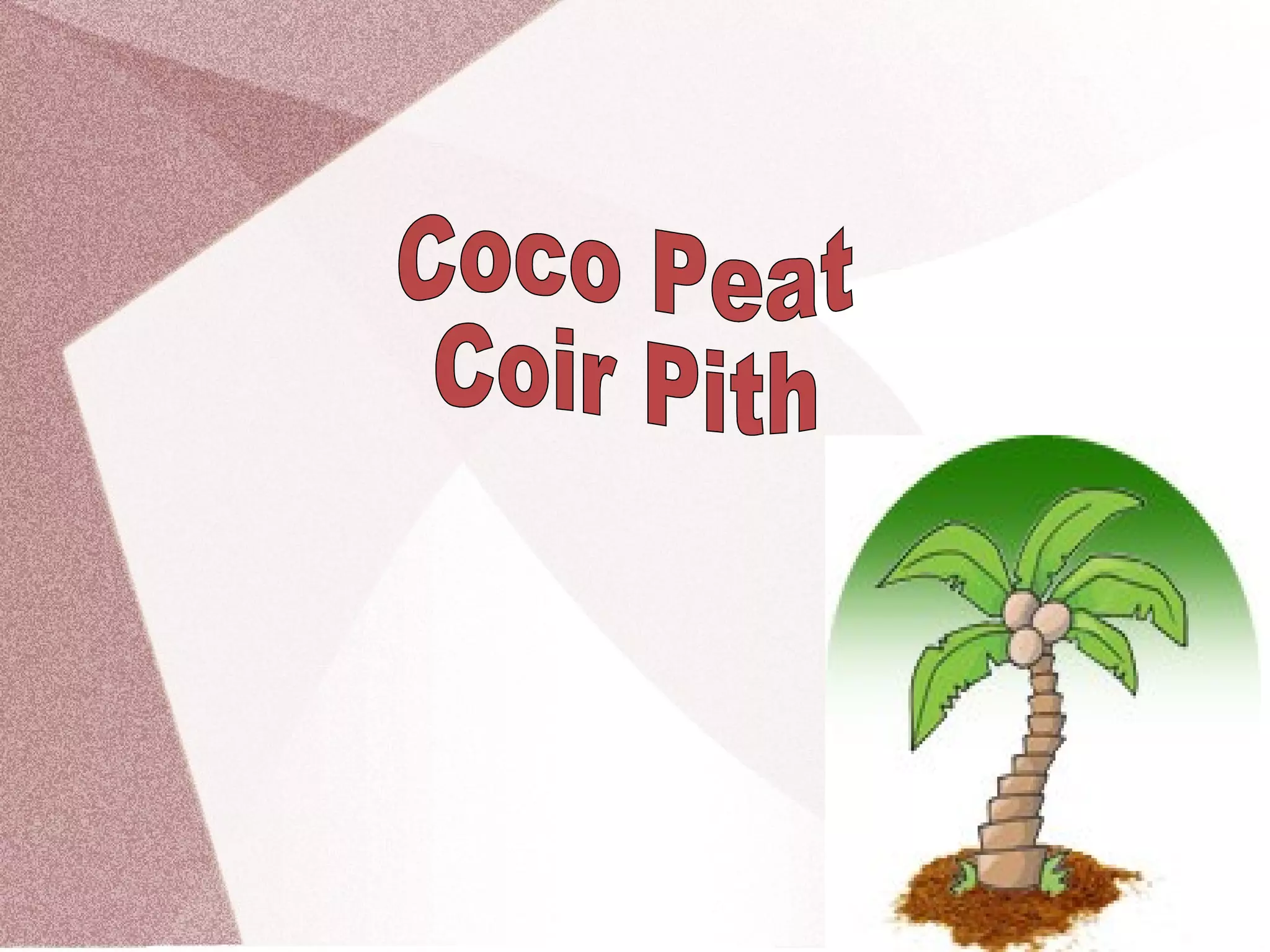 About Coco Peat & Coir Pith | ODP