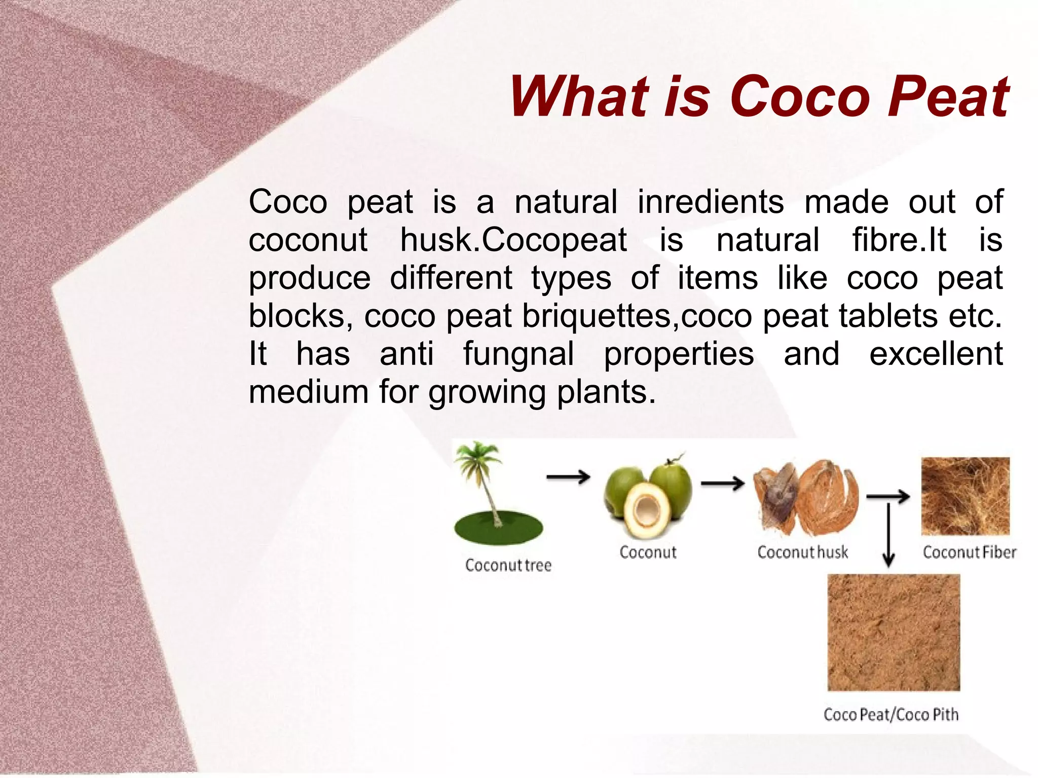 About Coco Peat & Coir Pith | ODP