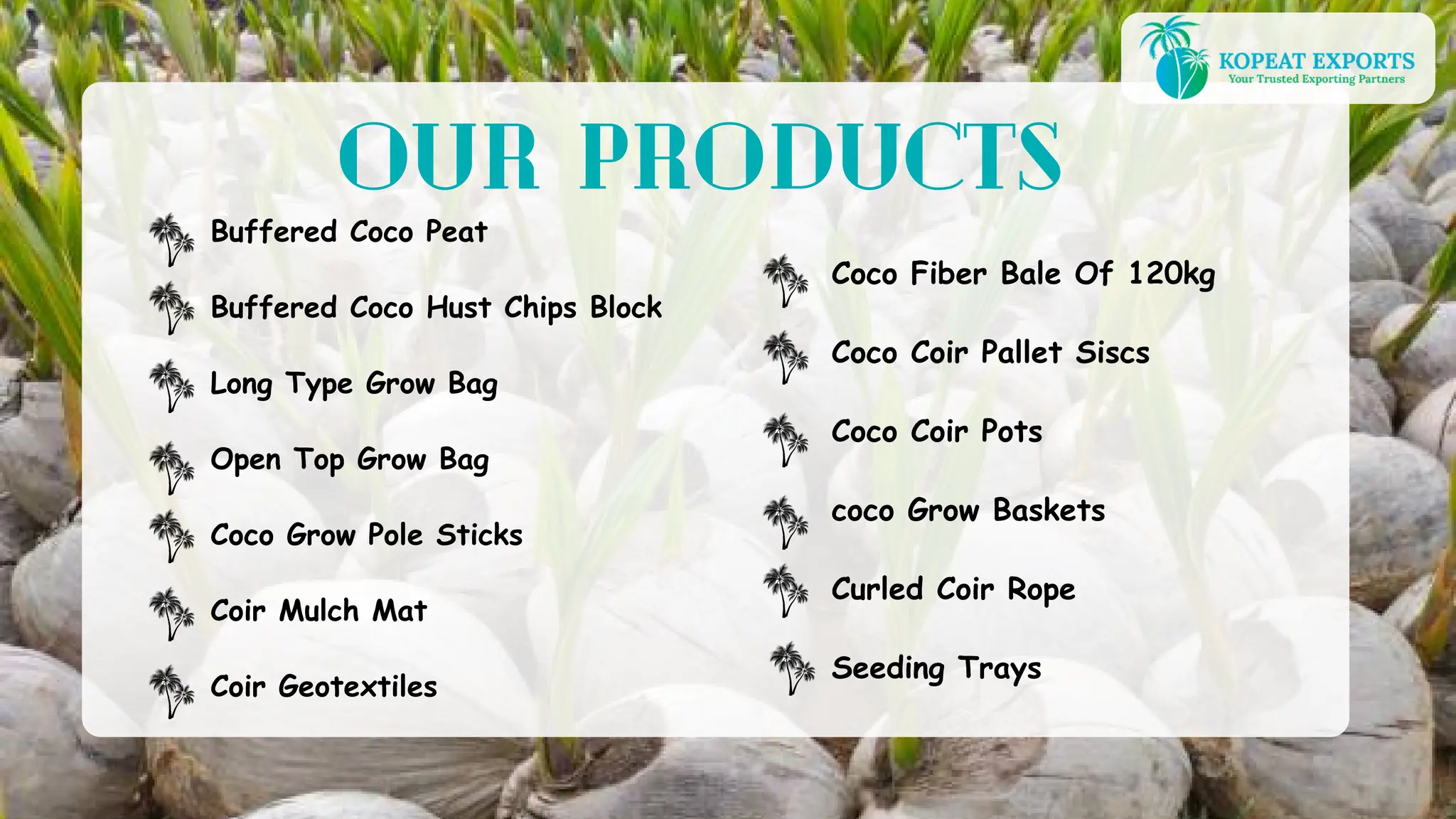 coco pith in Australia | PDF