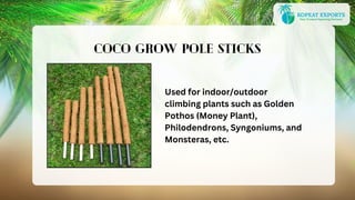 coco pith in Australia | PDF