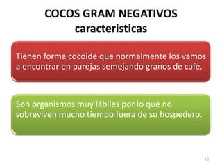 Cocos Gram negativos 2020 2 para curso virtual | PPT