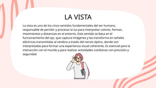 Sentido de la vista presentación anatomía | PPTX