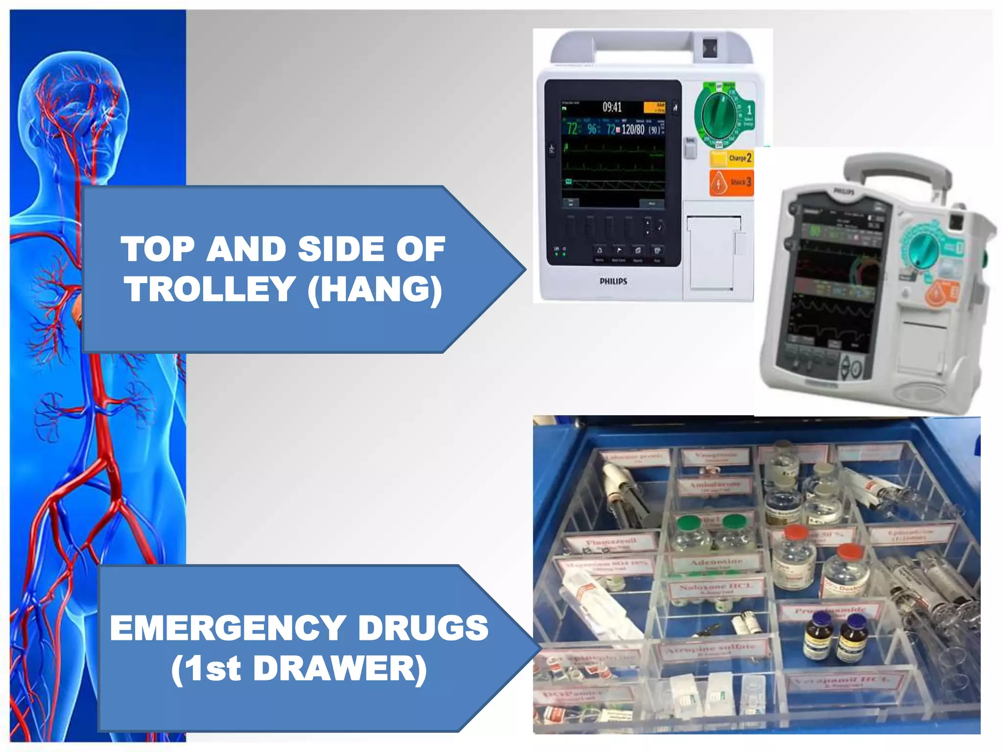 Code blue management | PPTX