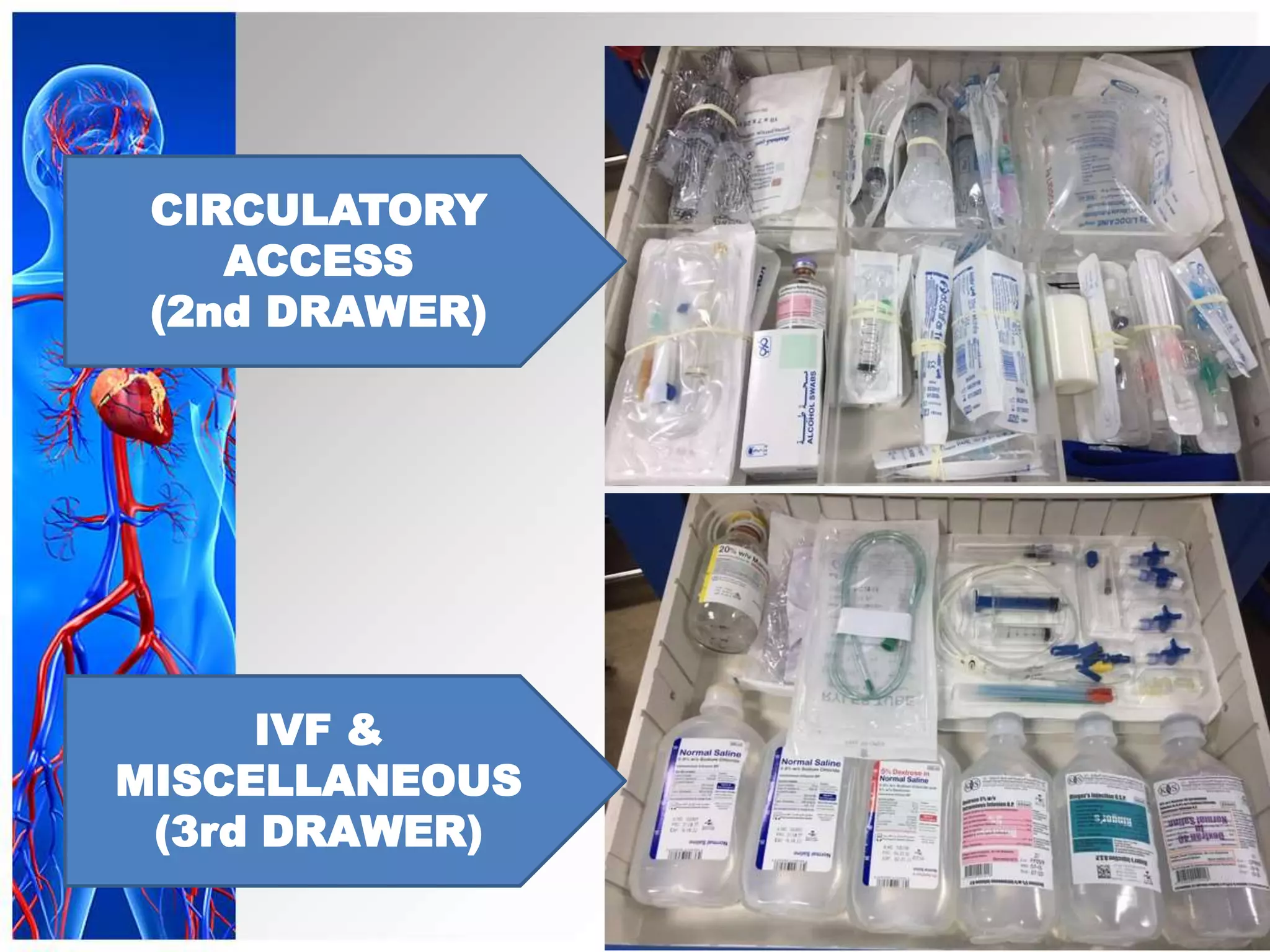 Code blue management | PPTX