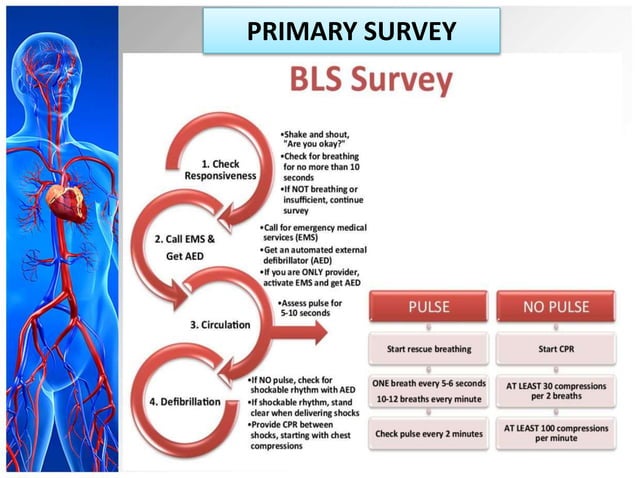 Code blue management | PPTX | First Aid | Injuries