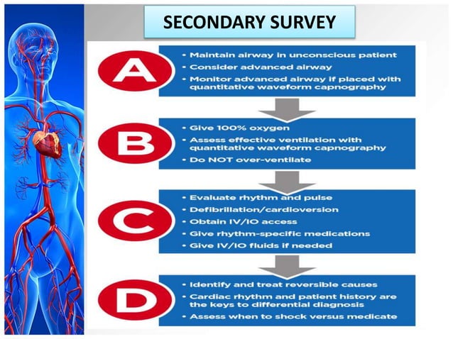 Code blue management | PPTX | First Aid | Injuries