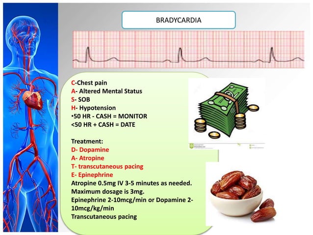 Code blue management | PPTX | First Aid | Injuries