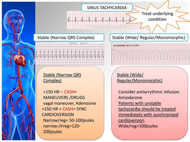 Code blue management | PPTX | First Aid | Injuries