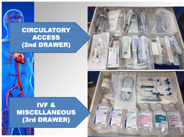 Code blue management | PPTX | First Aid | Injuries