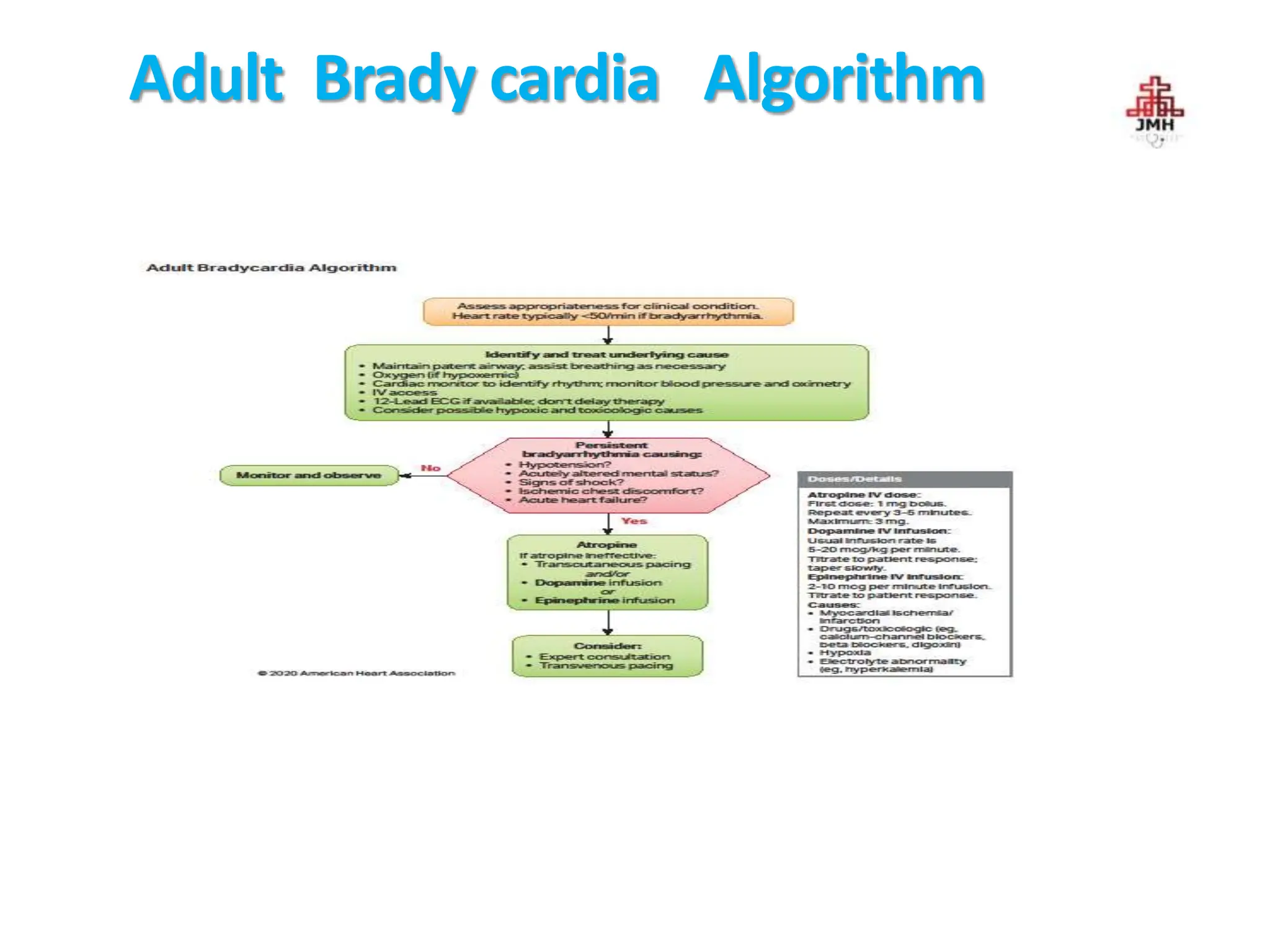 Code Blue Protocol. pptx. Cardiac arrest management in hospital | PPTX