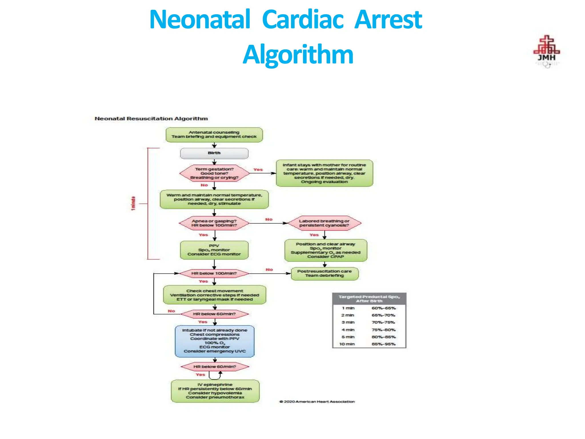 Code Blue Protocol. pptx. Cardiac arrest management in hospital | PPTX