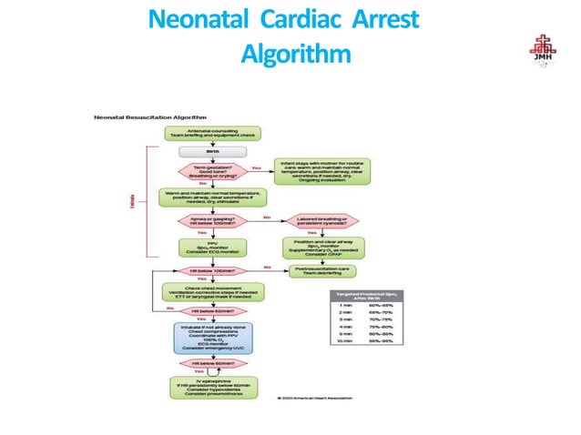 Code Blue Protocol. pptx. Cardiac arrest management in hospital | PPTX