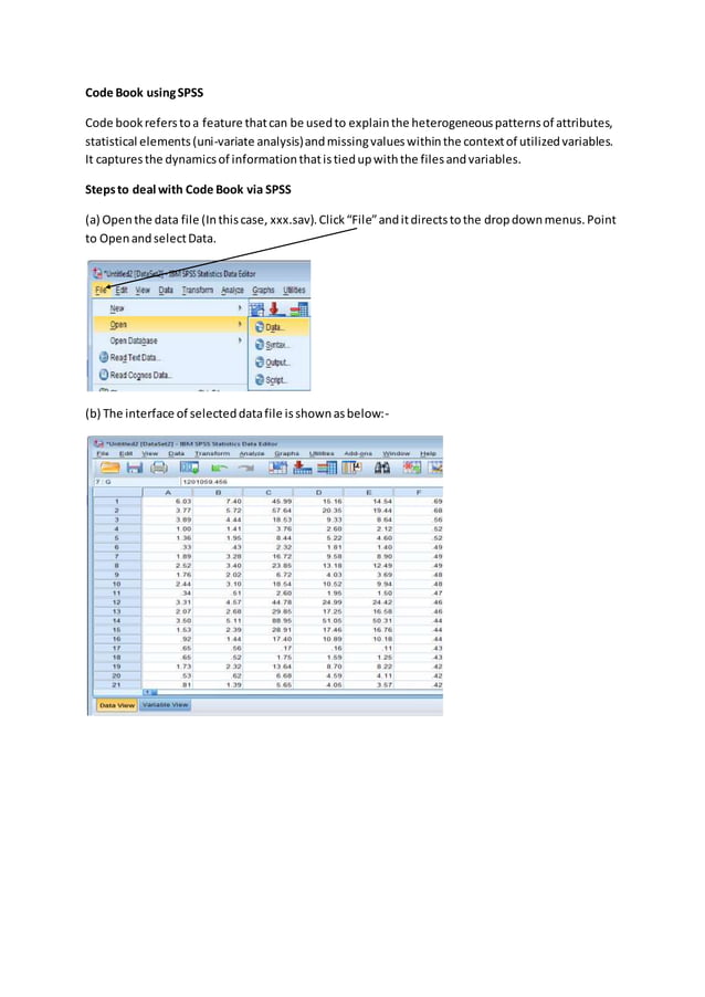Code book using spss | DOCX