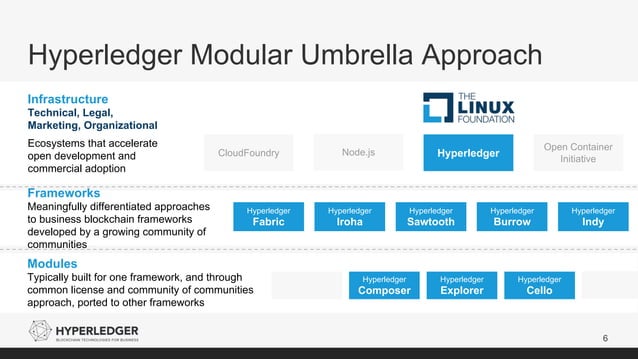 Distributed:Health Code Camp Hyperledger | PPT