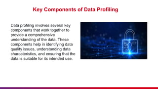 Code Camp - Data Profiling and Quality Analysis Framework | PPTX