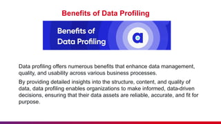 Code Camp - Data Profiling and Quality Analysis Framework | PPTX