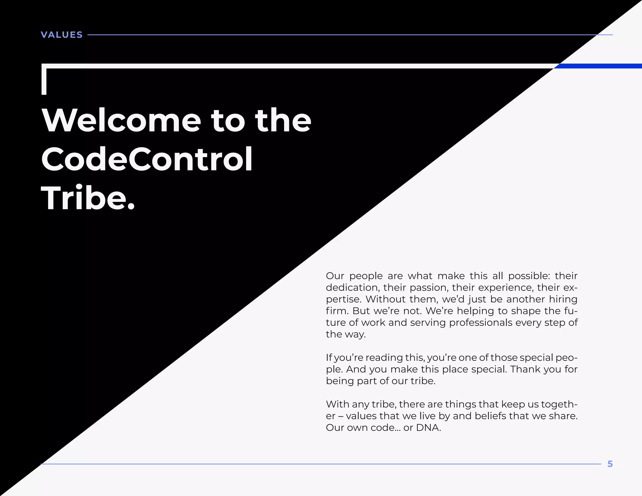 CodeControl Culture Playbook | PPT