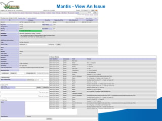 Mantis Code Deployment Process | PPT