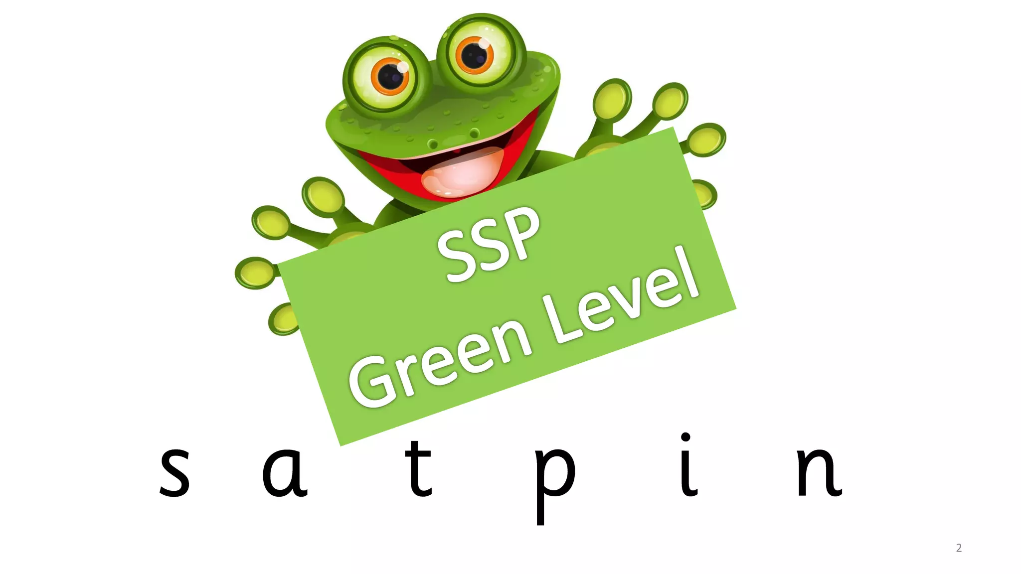 SSP Coded Words - Green, Purple, Yellow and Blue Levels | PDF