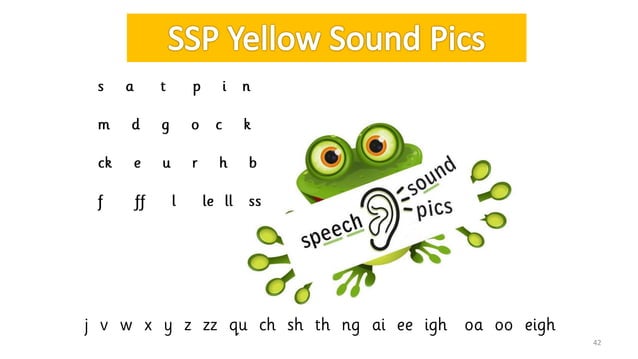SSP Coded Words - Green, Purple, Yellow and Blue Levels | PDF