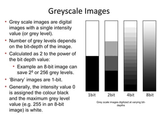 A (very brief) Introduction to Image Processing and 3D Printing with ...