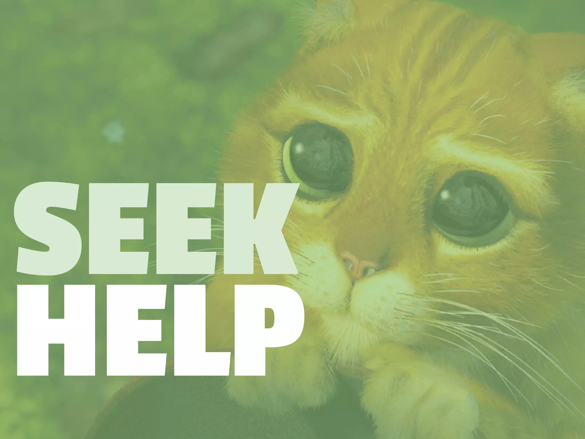 Code Like A Boss | PPT