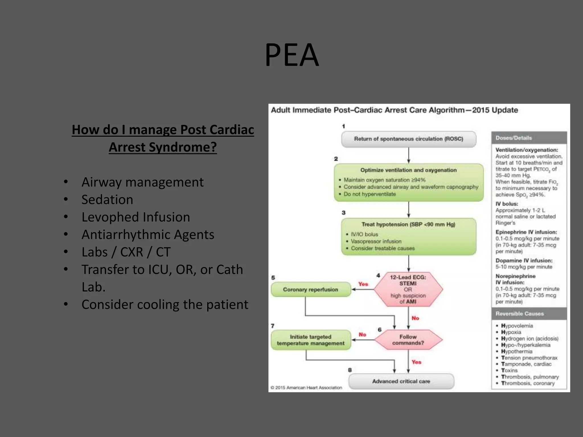 Code Management: PEA | PPT