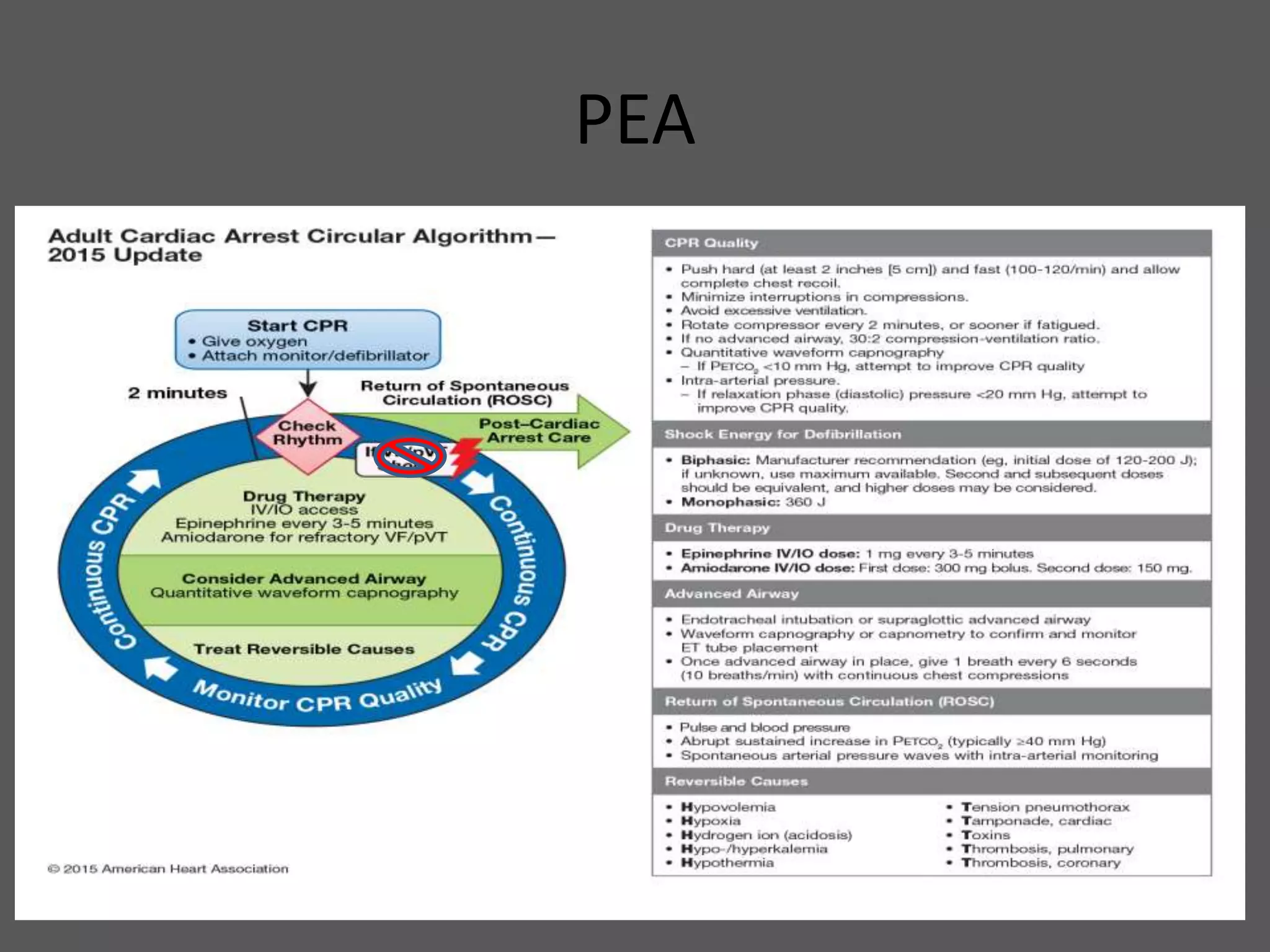 Code Management: PEA | PPT