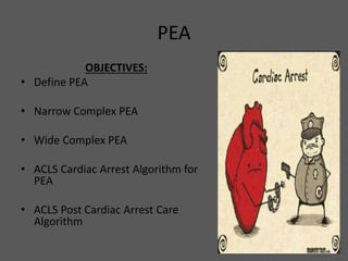 Code Management: PEA | PPT