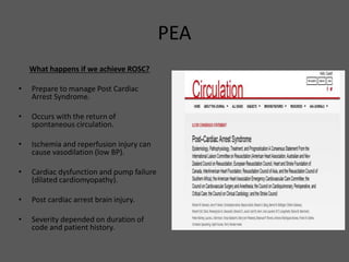 Code Management: PEA | PPT