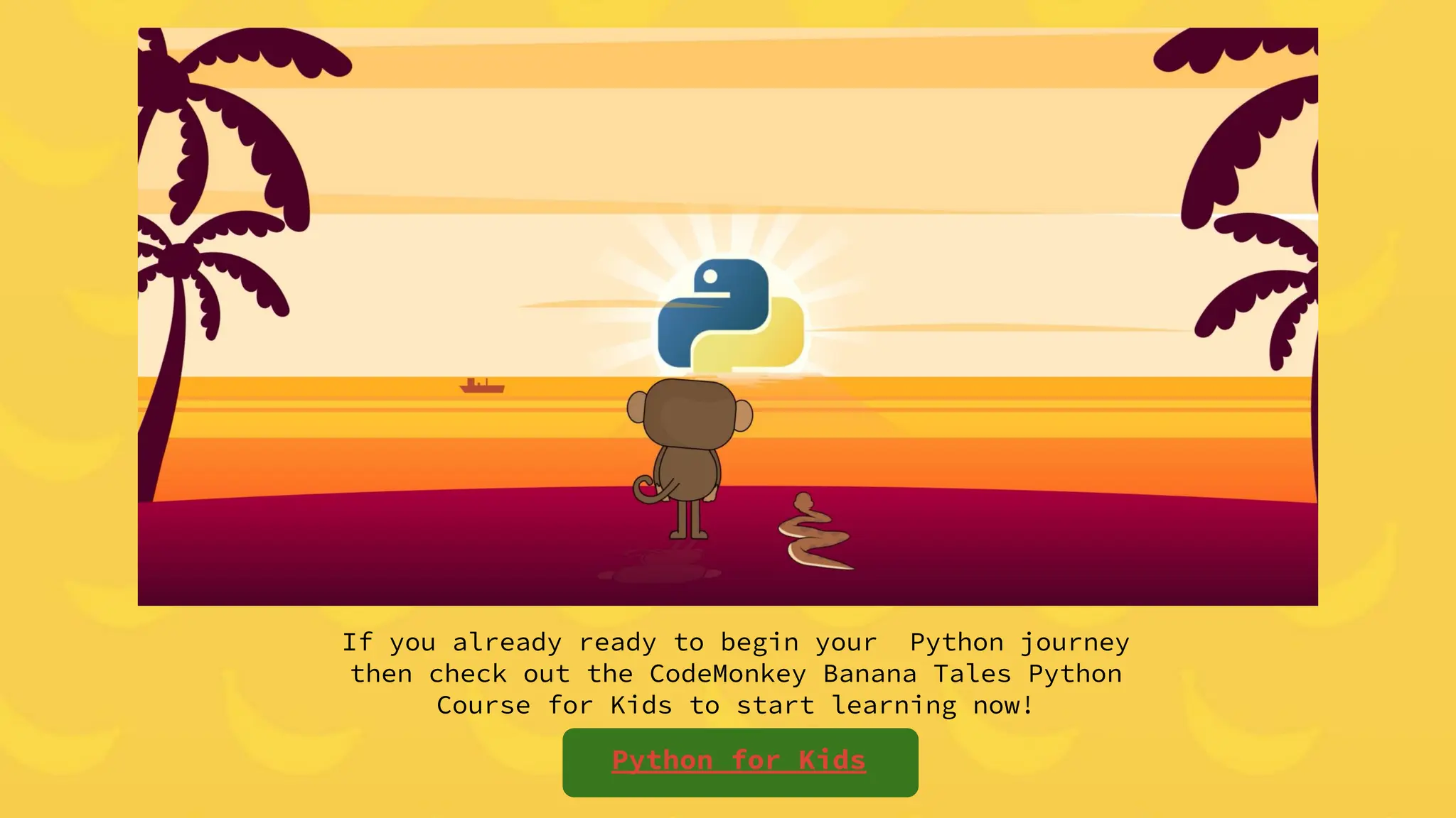 Python for Kids | CodeMonkey | PDF